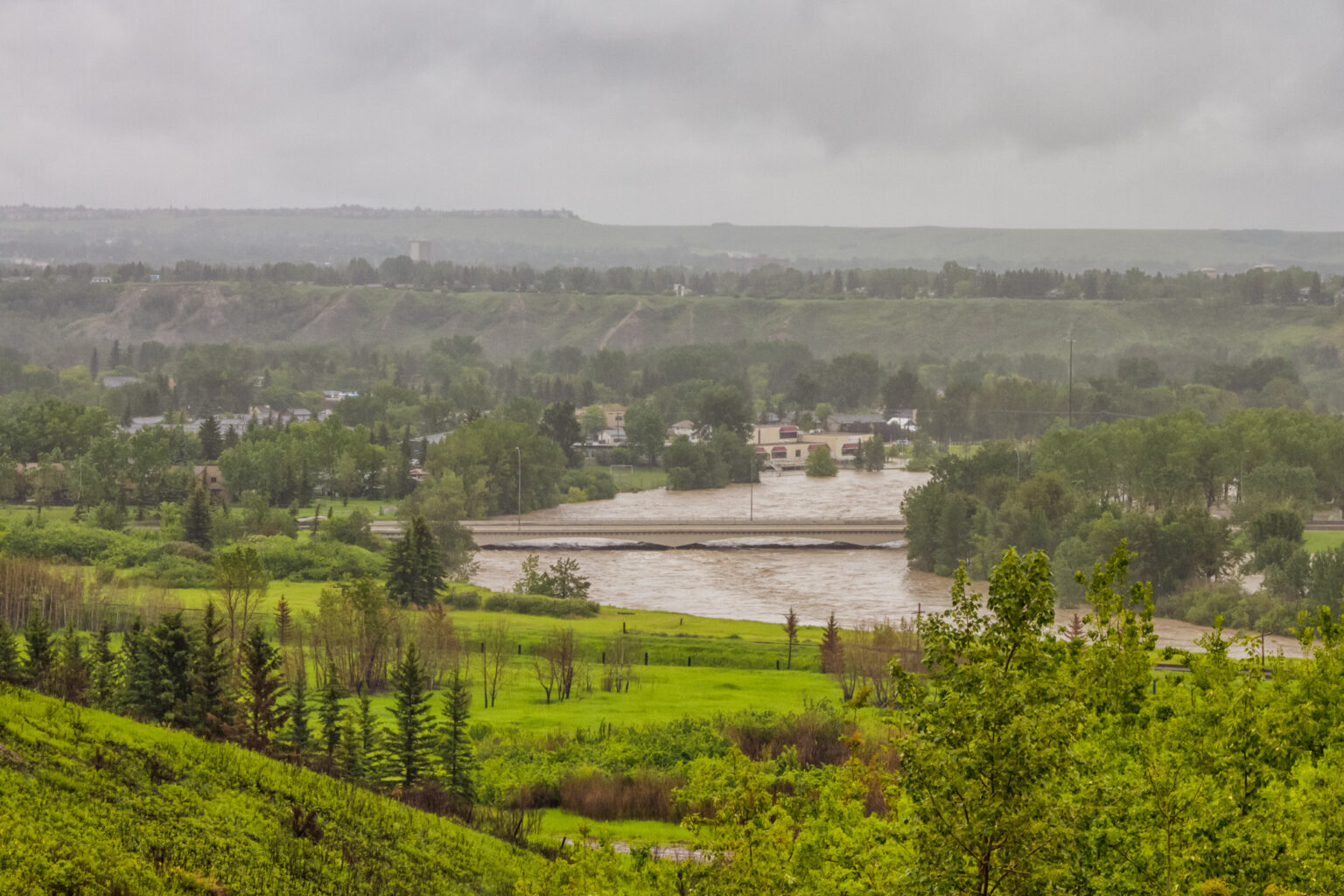 Rising Above: looking back at the Calgary Floods - United Way of ...